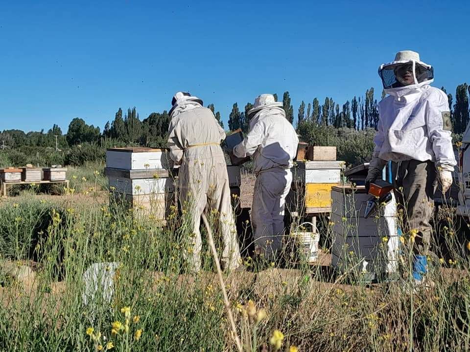 Dos nuevas apicultoras se unieron a la creciente Planta Apícola