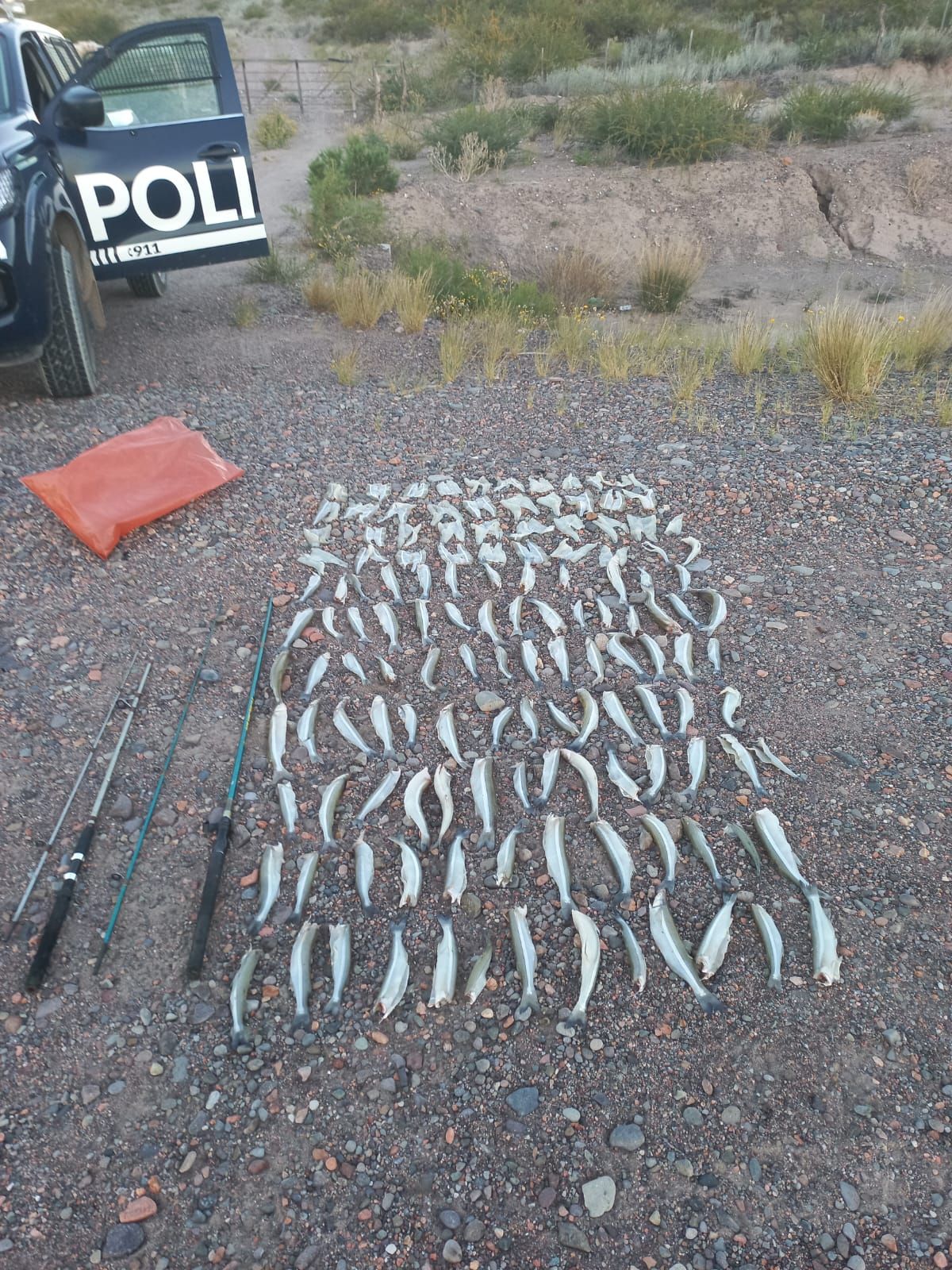 Lo engancharon con más de 130 pejerreyes que sacó de Agua del Toro