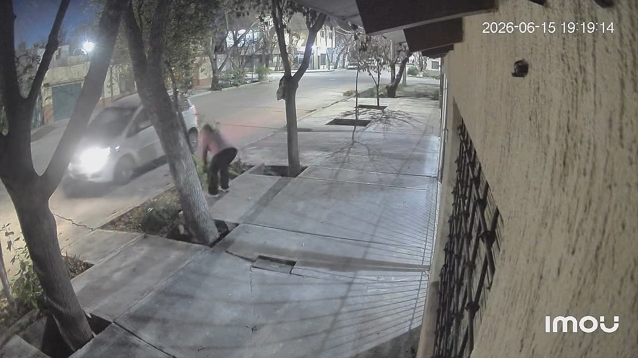 Video: Quedó filmada mientras robaba una maceta de una vivienda en ...